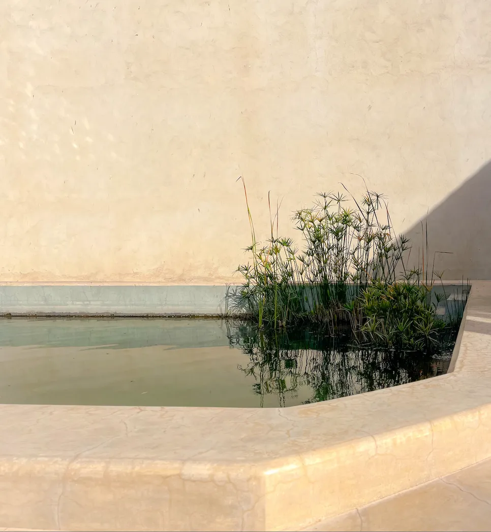 25 lines from 2025 - Restless Lines